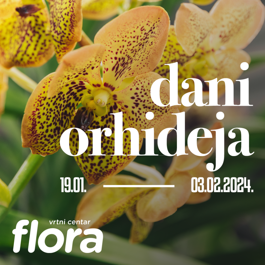 🌸 Dobro došli na Dane orhideja 2024! 🌸 | Vrtni centar Flora