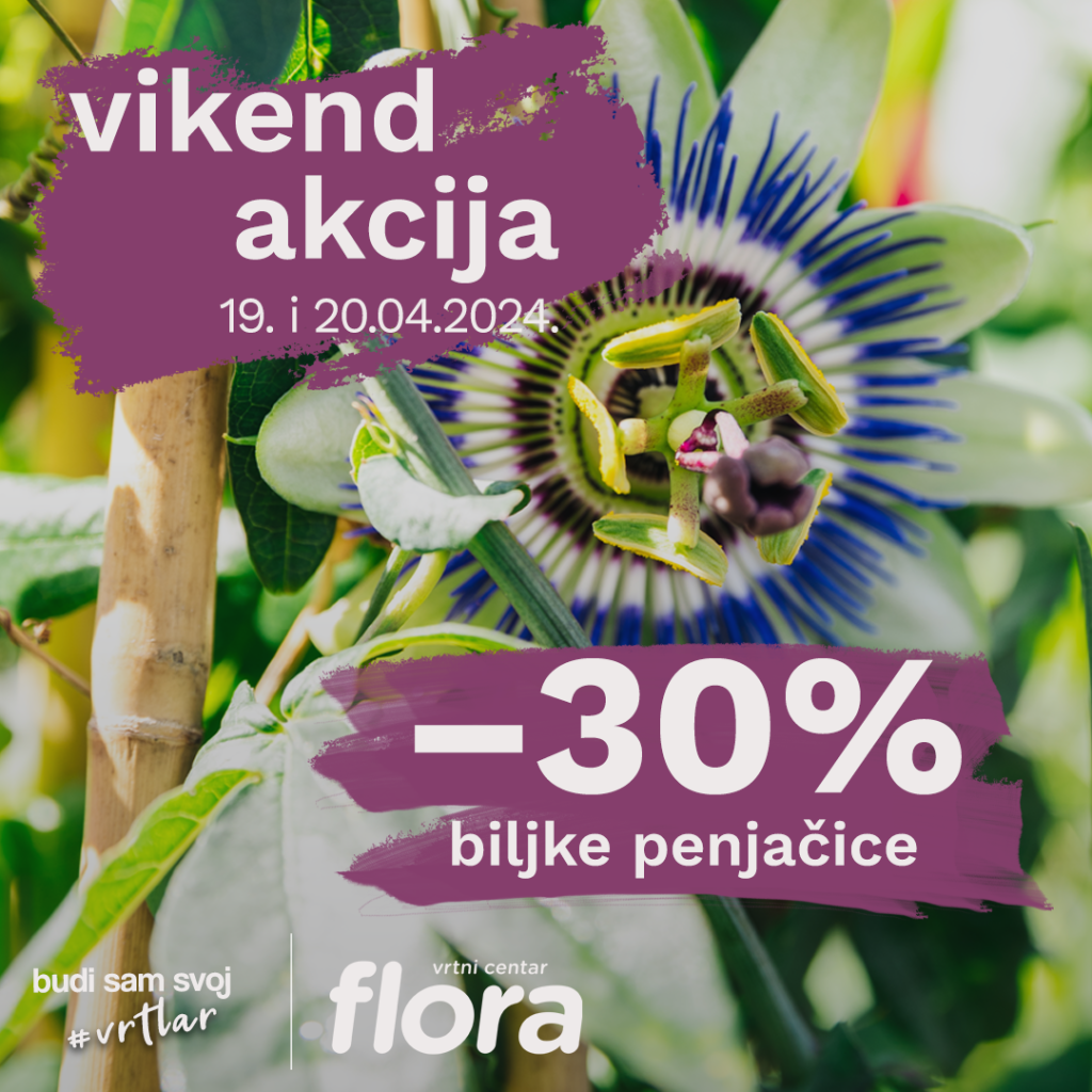 VIKEND AKCIJA: –30% na biljke penjačice | Vrtni centar Flora