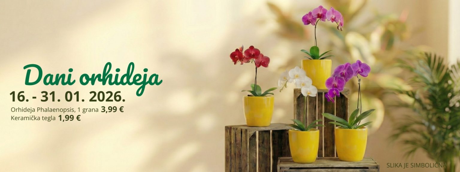 🌸 DANI ORHIDEJA 2026. 🌸 | Vrtni centar Flora